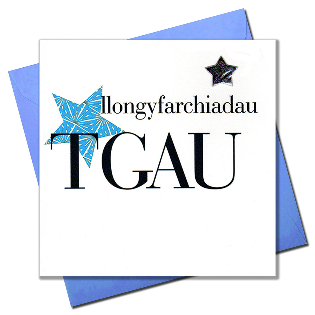 Welsh GCSE results Congratulations Card, Blue Stars, padded star embel ...